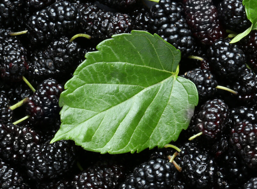 Ingredients – Simple Promise™