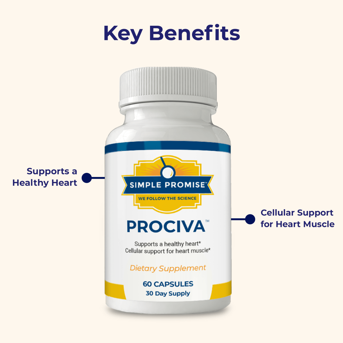 Prociva™ – Simple Promise™